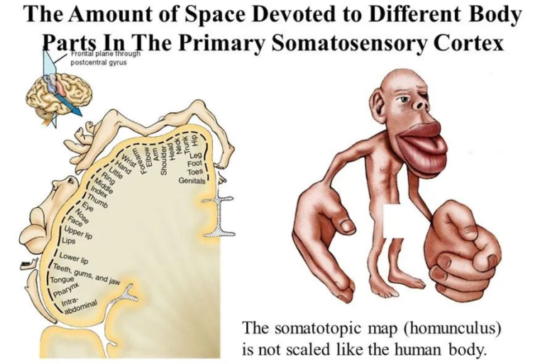 通院机器人实验室：具身智能体技能学习，从重建“物理和虚拟抓取”数据的手套开始！ – 北京通用人工智能研究院BIGAI